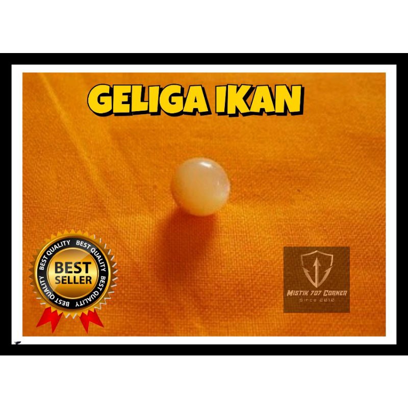 Batu Geliga Embun Dalam Ikan - CristofernBird