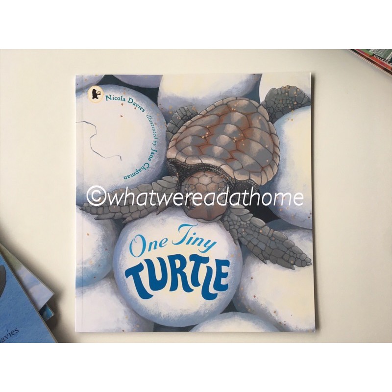 One Tiny Turtle (The Nature Storybooks by Nicola Davies) | Shopee Malaysia