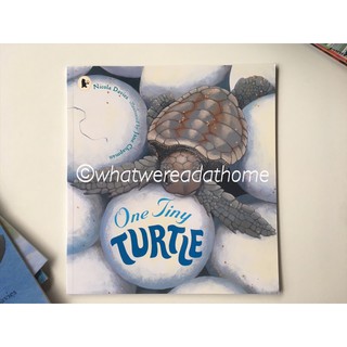 One Tiny Turtle (The Nature Storybooks by Nicola Davies) | Shopee Malaysia