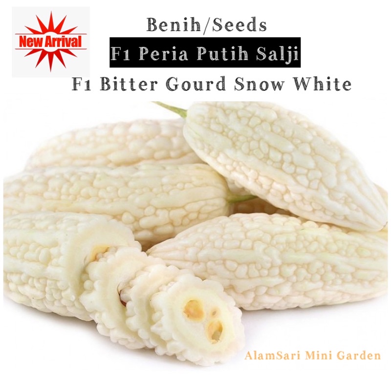 Benih/Seeds : B22 F1 Bitter Gourd Snow White(F1 Peria Putih Salji ...