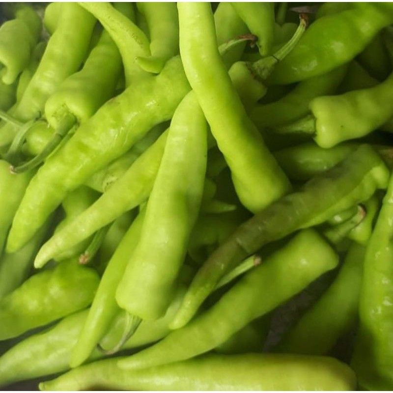 500G LADA HIJAU BESAR FRESH | Shopee Malaysia