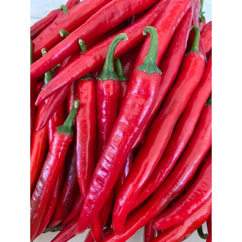 CILI MERAH/LADA MERAH BESAR | Shopee Malaysia