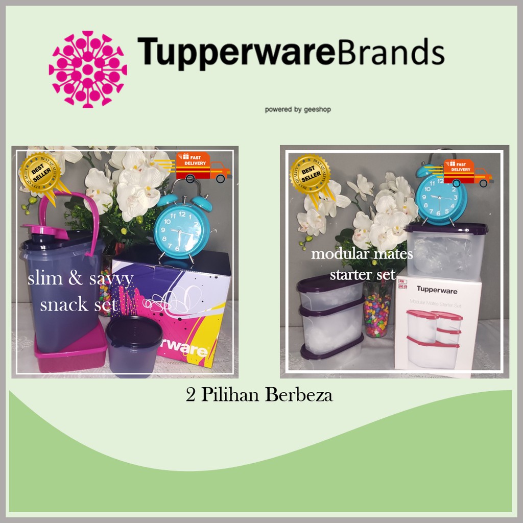 Tupperware Modular Mates Starter Set @ Slim& Savvy Snack set(100% ...