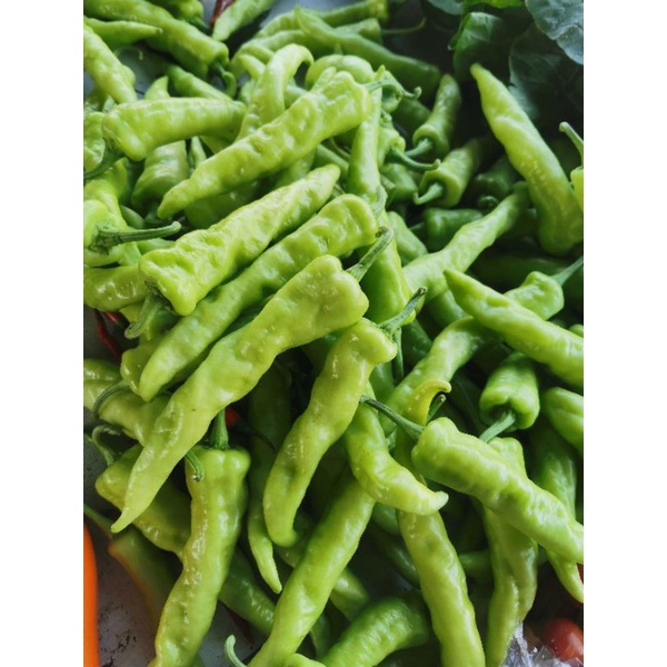 LADA SOLOK KELATE SEGAR MURAH | LADA BESAR | LADA HIJAU | Shopee Malaysia