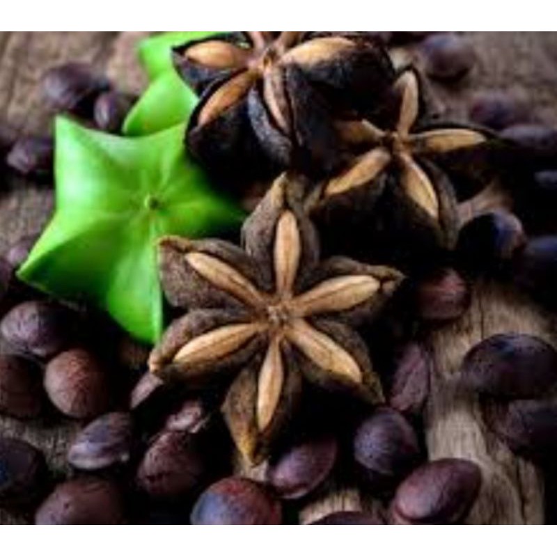 Sacha Inchi seed/ biji benih Sacha inchi | Shopee Malaysia