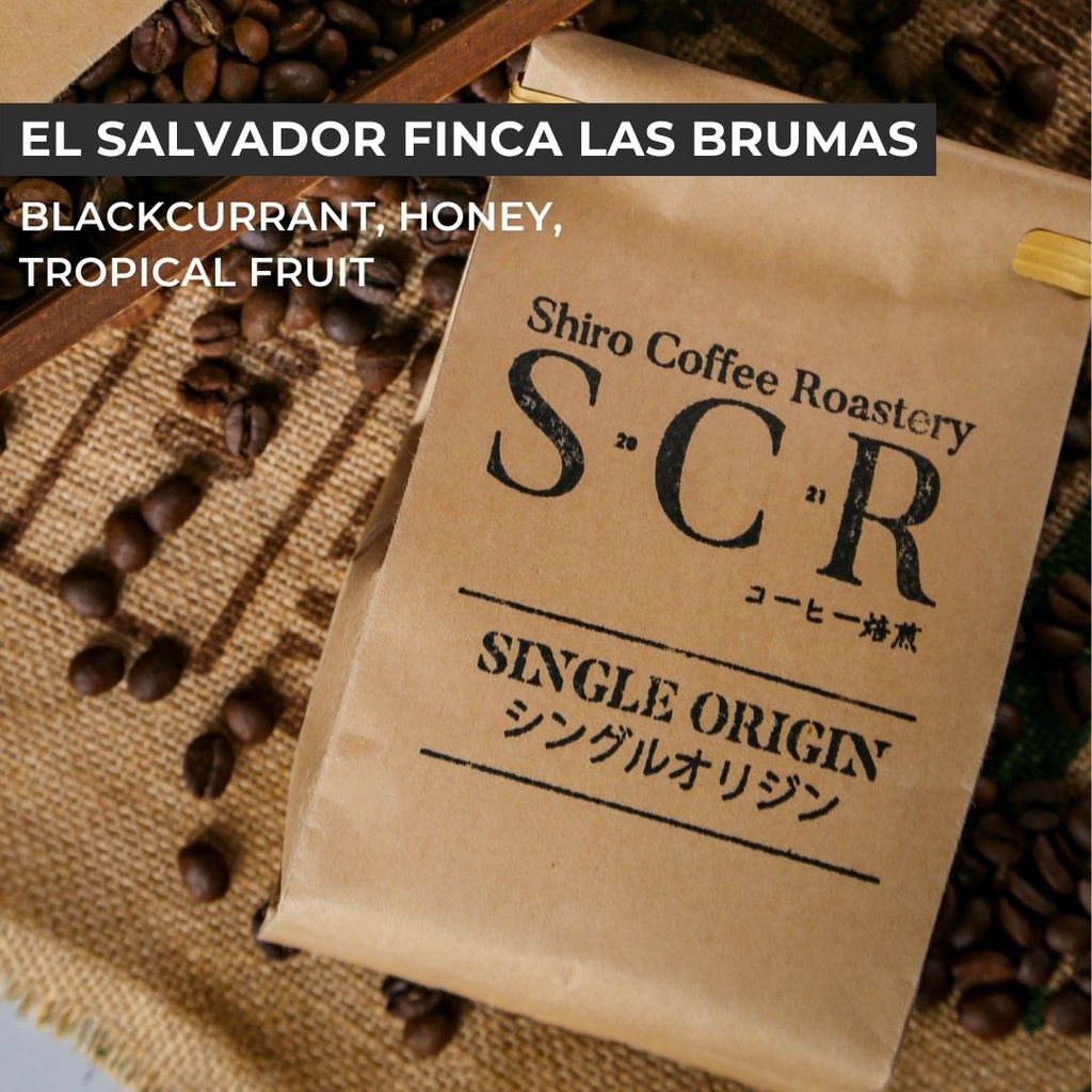 Shiro Coffee Roastery | El Salvador Finca Las Brumas | Single Origin | Whole Bean | Coffee ...