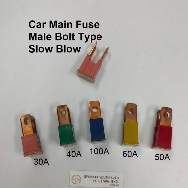 Main Fuse 30A 40A 50A 60A 100A SBFC BT PEC Original Car Main Fuse Slow ...