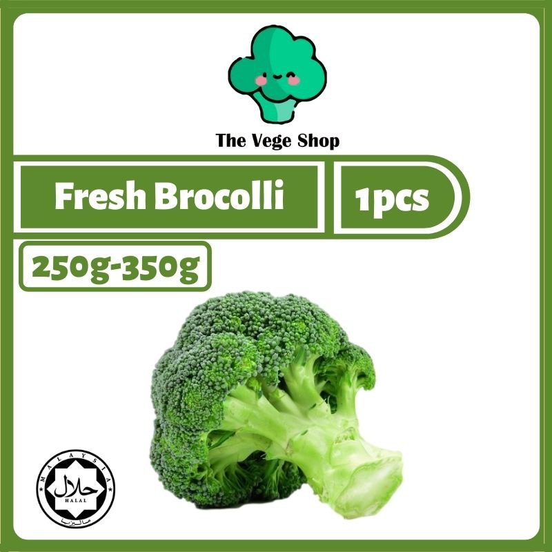 broccoli - Prices and Promotions - Jan 2023 | Shopee Malaysia