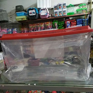 Guppy Plastic Tank 600mm | Shopee Malaysia