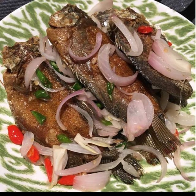 1 KG IKAN SEPAT BENUA + free gift rempah cap o(READY STOCK) | Shopee ...