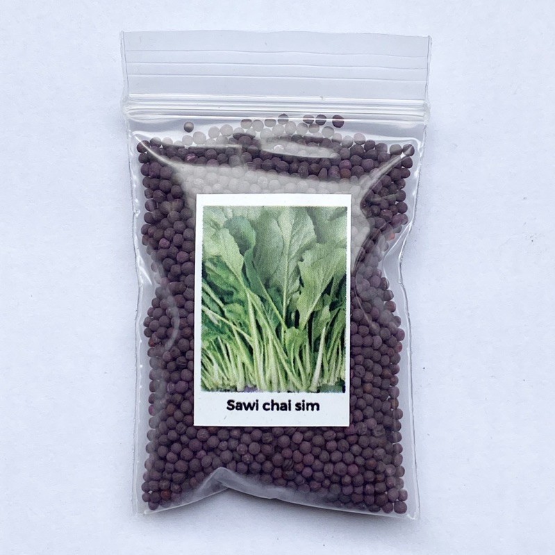 Biji benih sawi chai sim | Shopee Malaysia