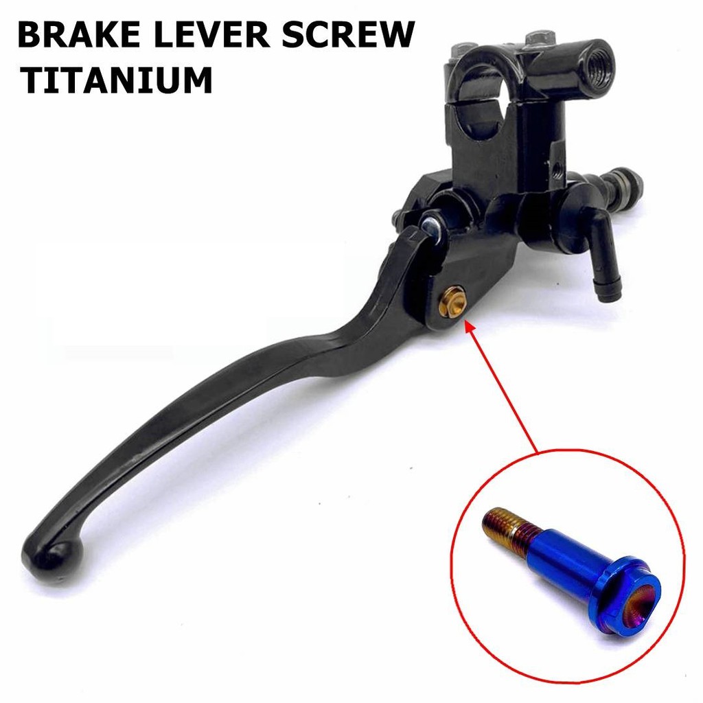 BRAKE LEVER CLUTCH BOLT SCREW MASTER PUMP SKRU GOLD TITANIUM EX5 WAVE DASH EGO LC135 KRISS ...