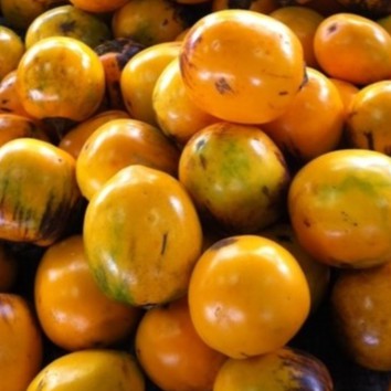 Sarawak Terung Asam - Big & Fresh | Shopee Malaysia