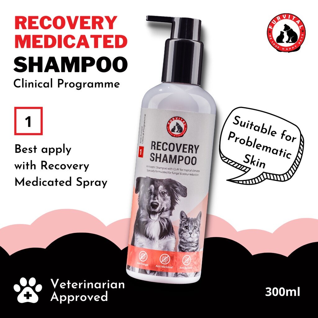 [READY STOCK] Furvital Recovery Shampoo Anti Fungal Anti Microbial ...