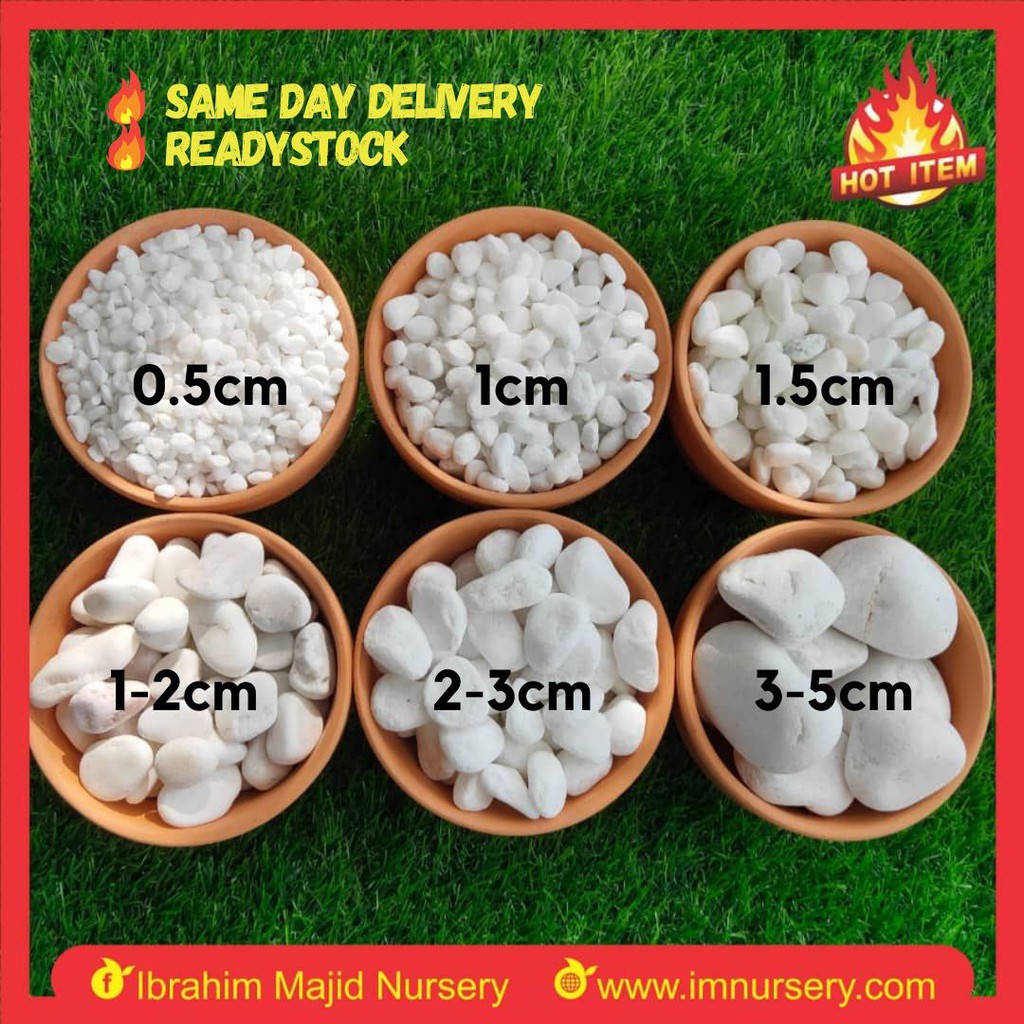 SUPER WHITE PEBBLE STONE BATU PUTIH HIASAN BATU SUNGAI BATU | Shopee ...