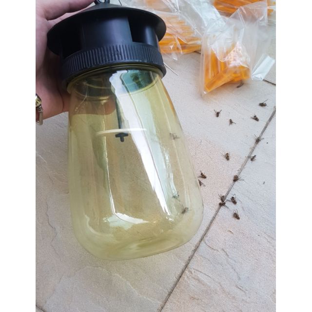 Fruit Fly Trap Bottle | Botol Perangkap Lalat | 捕蝇器 | Shopee Malaysia