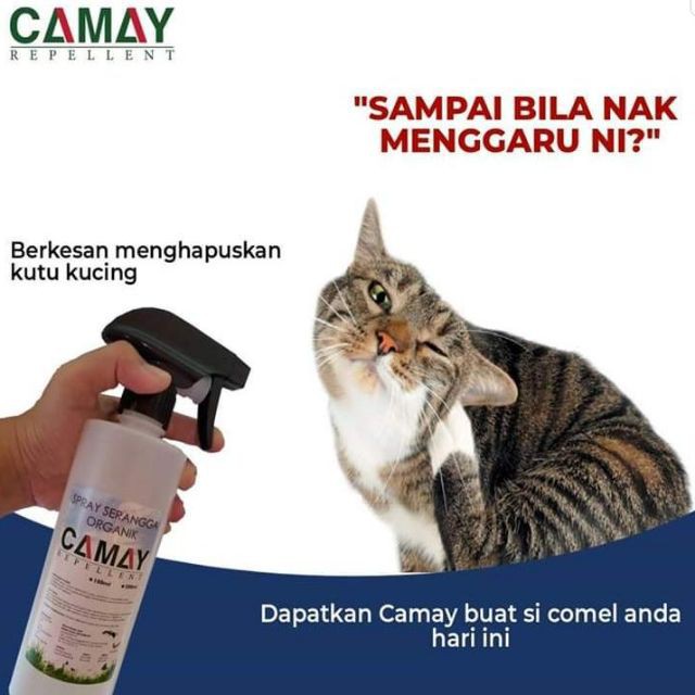 Spray kutu, luka & kurap kucing berkesan tanpa racun / cat flea spray ...