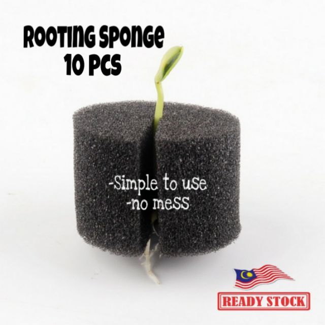 10pcs Rooting Sponge MultiSize Hydroponic @ Aquaponic/Planting Soilless ...