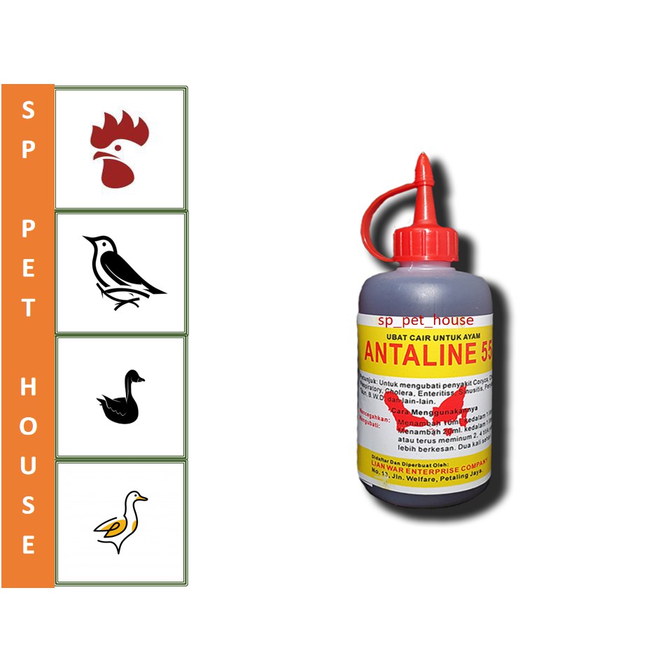 ANTALINE 55 Ubat Merah Ayam / Vitamin Chicken (100ml) | Shopee Malaysia