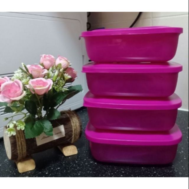 Tupperware Small Rectangular Saver (500ml) | Shopee Malaysia
