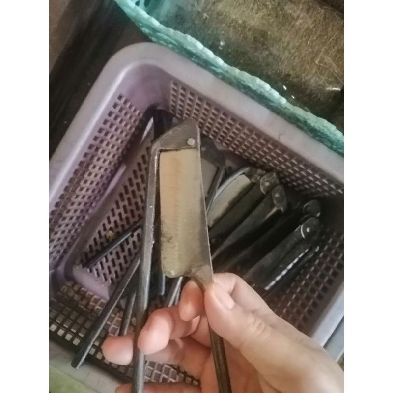 KALAKATI SABAH (KACIP PINANG) | Shopee Malaysia