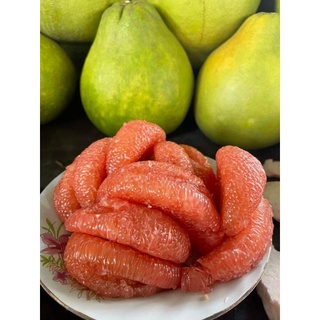 benih pokok limau bali merah Thailand | Shopee Malaysia