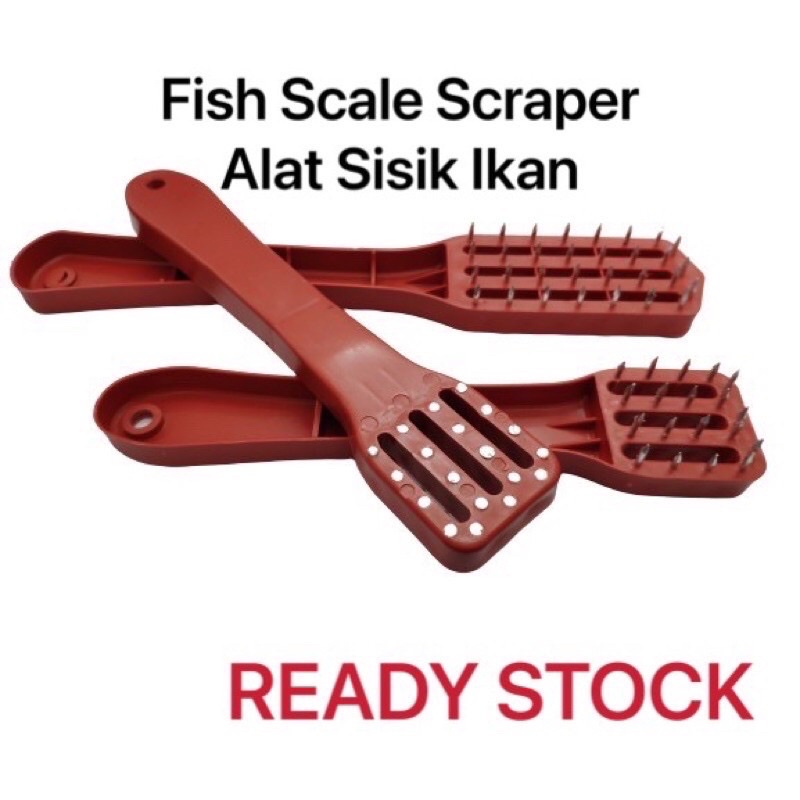 Fish Scale Scraper / Alat Buang Sisik Ikan / Fish Scale Remover / Fish ...