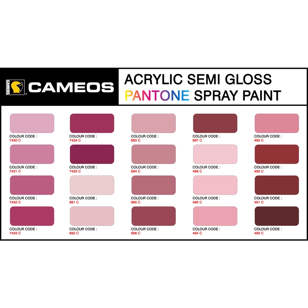 PANTONE Color P20 - Aerosol Spray Paint - CAMEOS 400ML/Bottle | Shopee ...