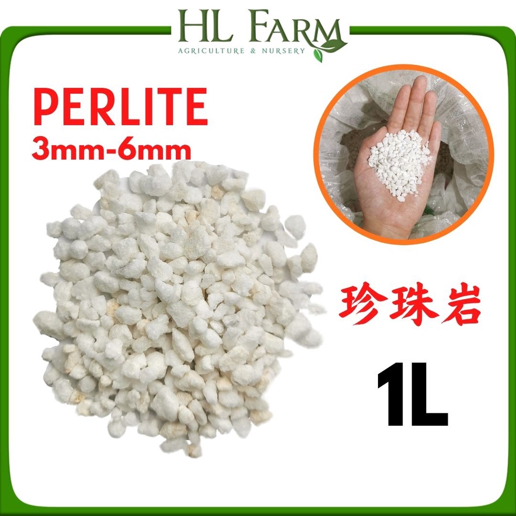 Perlite / 1L Perlite (5-8mm) / Succulent / Large-grained horticultural ...
