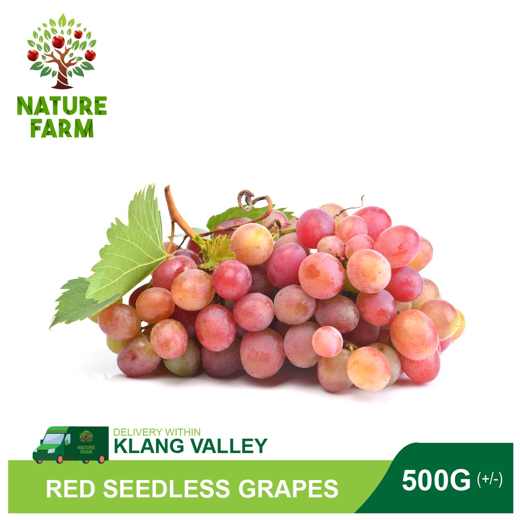 Nature Farm Grape Red Seedless / Anggur Merah (500G+-/PKT) | Shopee ...