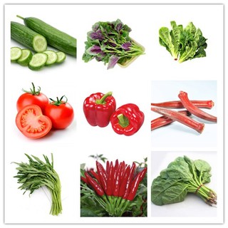 Benih Sayur-sayuran Buah Sayur Biji Benih Sayuran Vegetables Seeds for ...