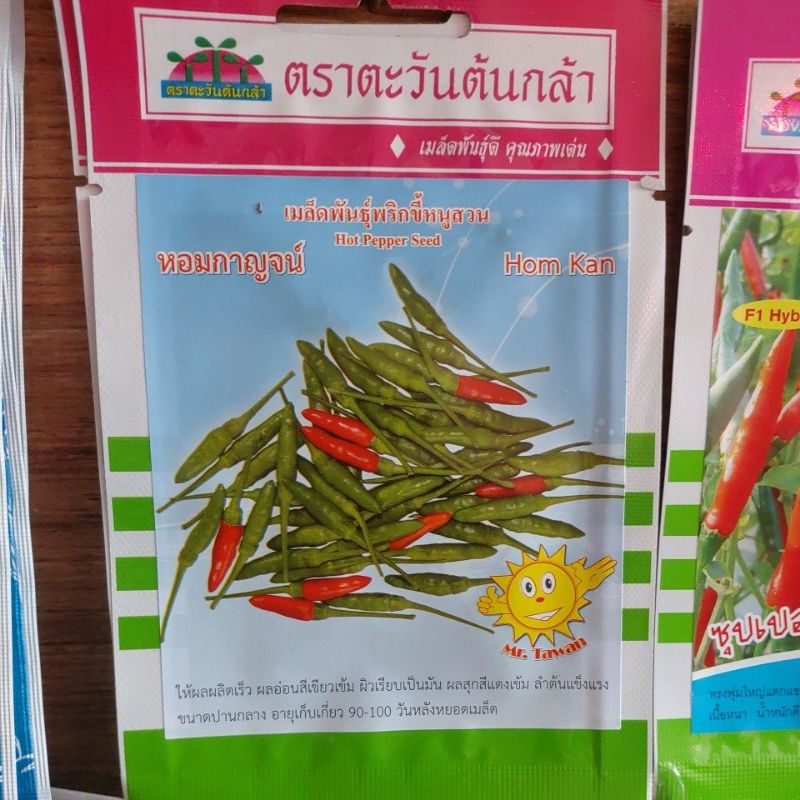 Benih cili burung api jenis pedas dari thailand | Shopee Malaysia