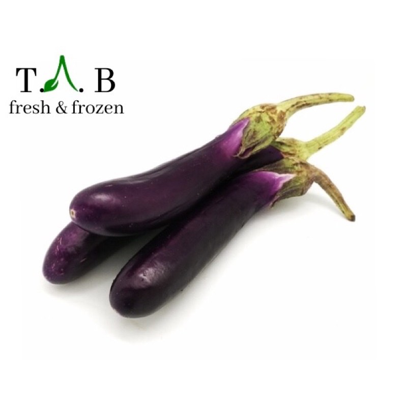 Terung panjang / long eggplant (500g) | Shopee Malaysia