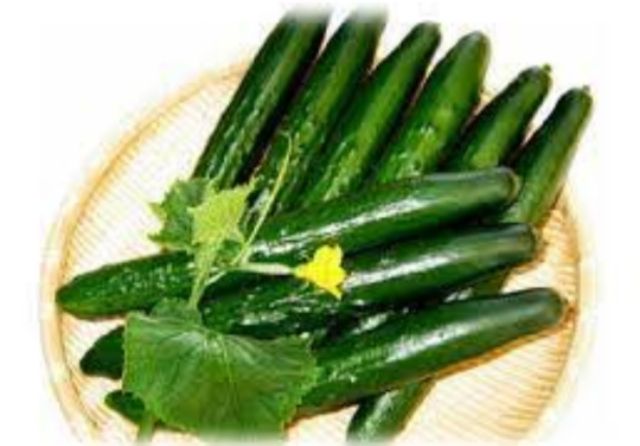 10 pcs Biji benih timun jepun / japanese cucumber 10 seeds | Shopee ...