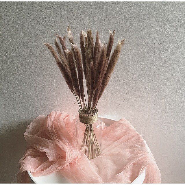 3pcs Mini Bulrush Natural Dried Mini Pampas Grass Pharagmites Home Deco ...