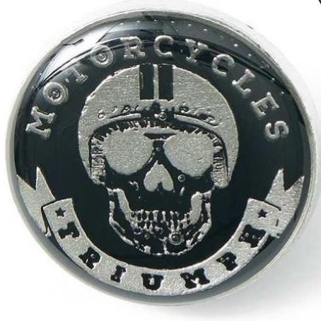 Triumph Skull Pin Badge | Shopee Malaysia