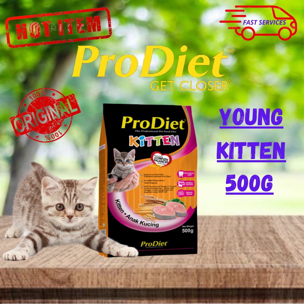 (READY STOCK) PRODIET Kitten Ocean Fish Cat Dry Food 500g (Ikan Laut ...