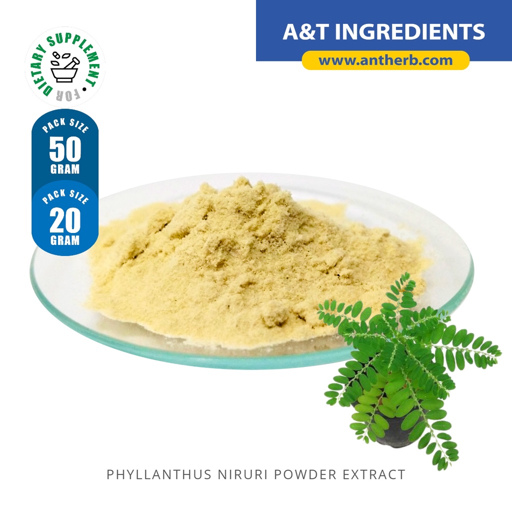 [20g/50g] Dukung Anak / Chanca Piedra / Bhumyamalaki / Phyllanthus ...