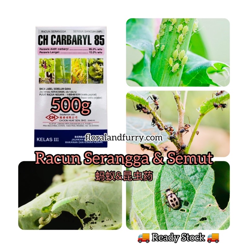 500g CH Carbaryl 85 Carbryl Racun Serangga Semut Ulat Pengorek Buah ...