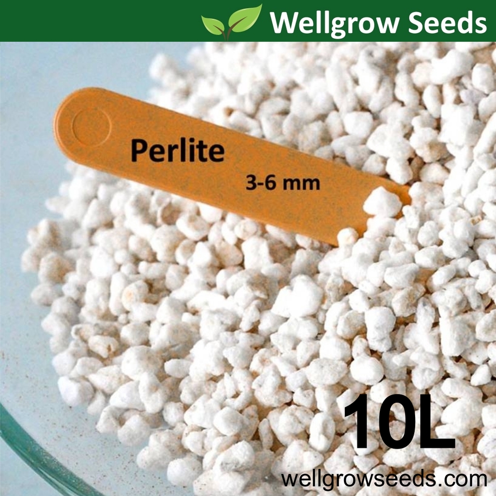 Wellgrow Seeds Official Store, Online Shop | Shopee Malaysia