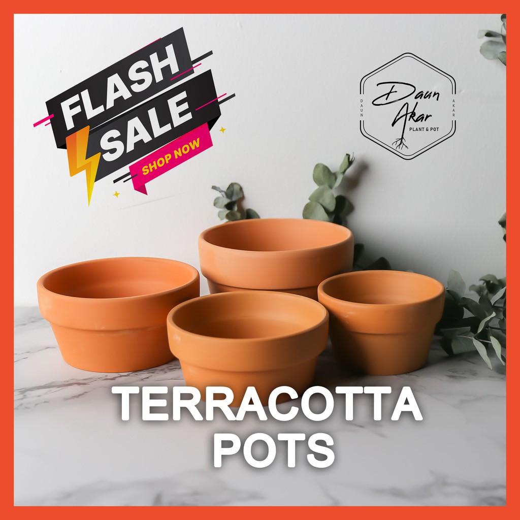 Terracota Pot Pasu Vase Traditional for Cactus Succulent 15cm x 9cm ...