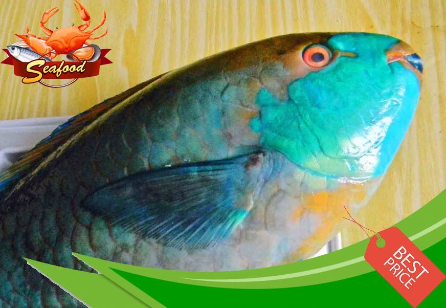 Ikan Bayam / Parrotfish- 1kg/pkt | Shopee Malaysia