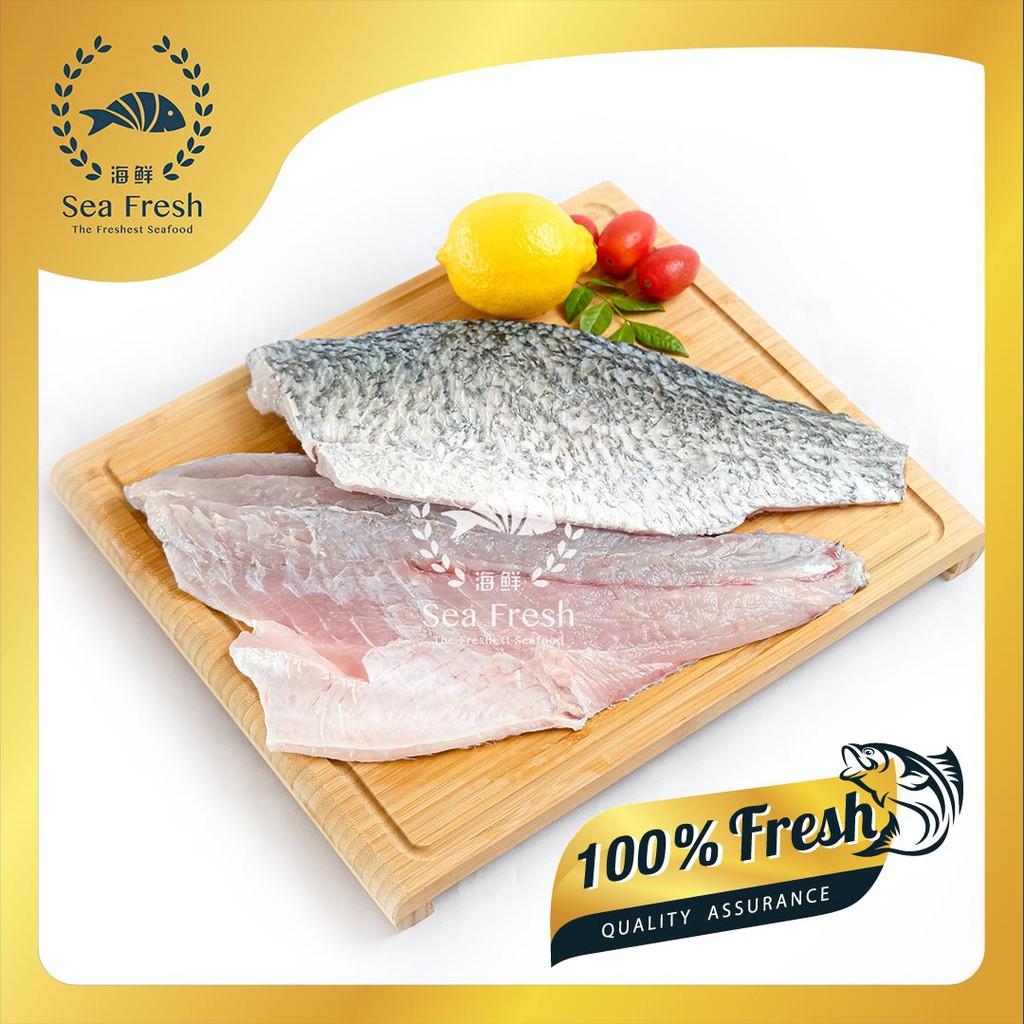 [Sea Fresh] Filet Ikan Siakap | Barramundi Fish Fillet | Fresh Frozen ...