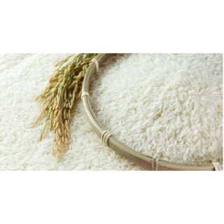 Jati Beras Super Special Jelapang 5kg | Shopee Malaysia