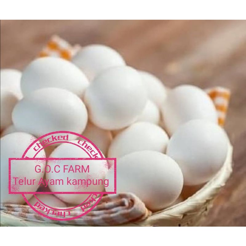 Telur ayam kampung hidup Bebas (Sebiji RM 1.50) | Shopee Malaysia