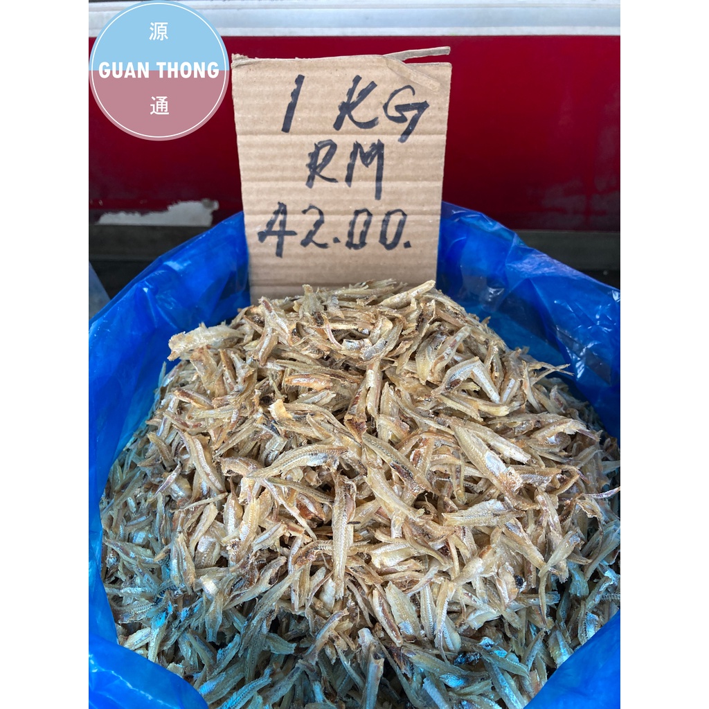 Guan Thong Ikan Bilis Kopek Silver Lining L | Shopee Malaysia