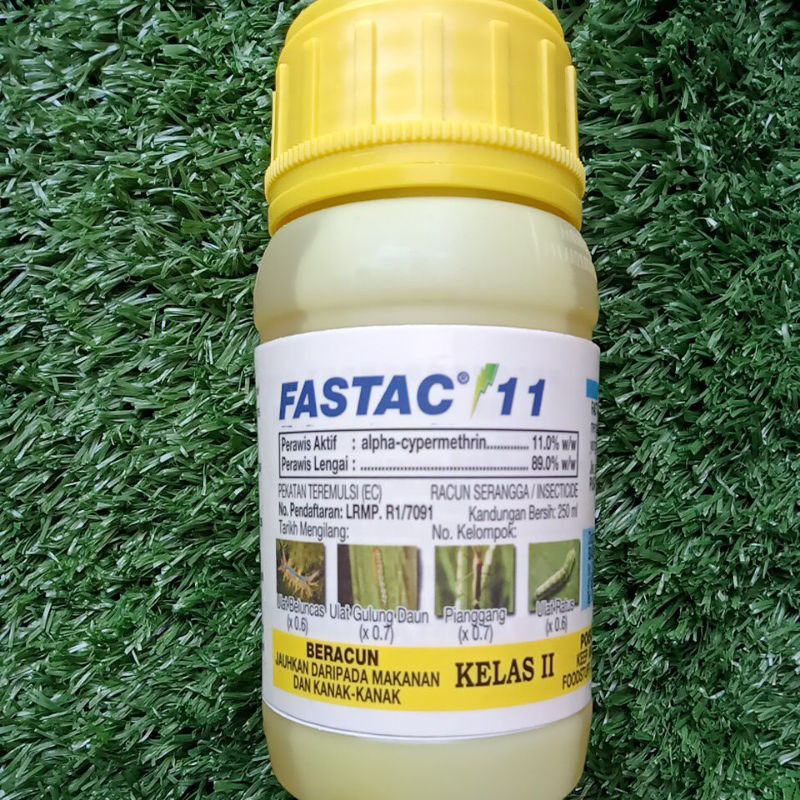 FASTAC racun serangga 250ml | Shopee Malaysia