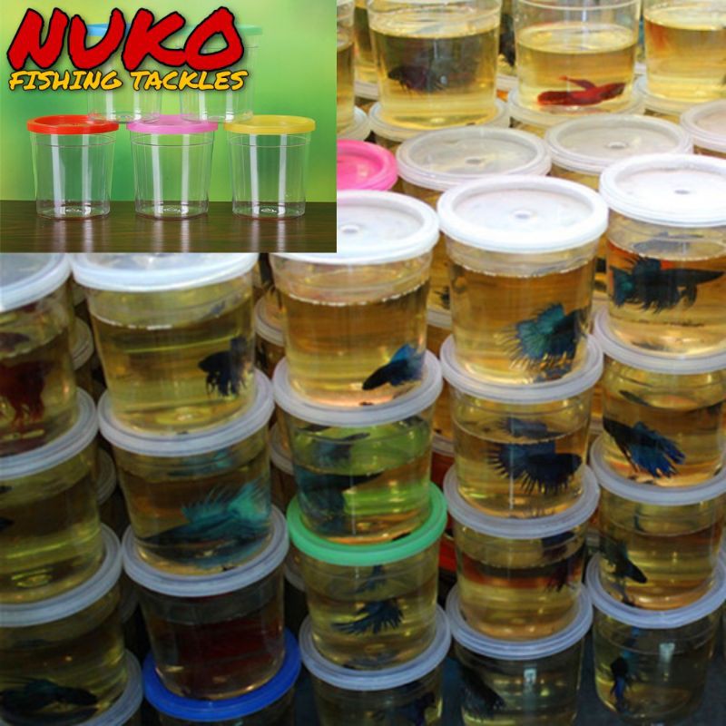 🇲🇾AQUARIUM MINI BETTA CUP. BEKAS IKAN BETTA【BUY 10 FREE 1】 | Shopee ...
