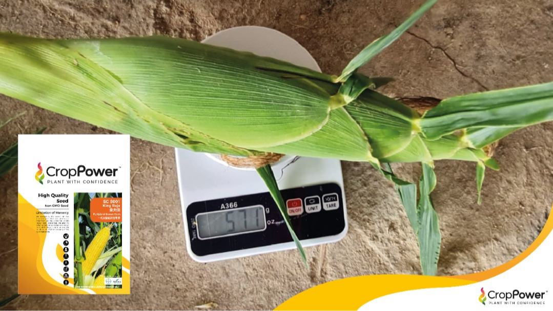 Crop Power, Online Shop | Shopee Malaysia