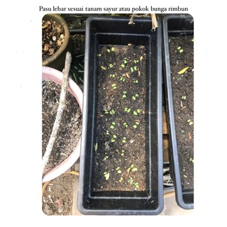 Pasu bunga petak Panjang Besar Pasu Bunga Lebar / BIG POT Pasu Sayur ...